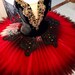 Tutu for Ballet Kitri - Etsy