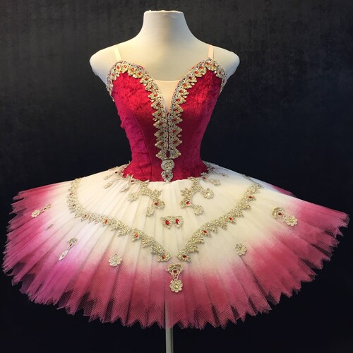 W-019 Professional Ballet Tutu - Etsy