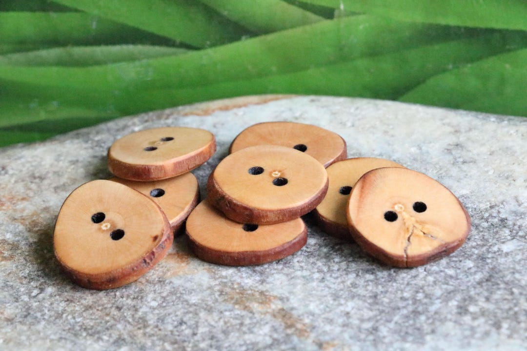 Natural Tree Limb Wooden Button From Fruit Tree , Custom Wood Button ...