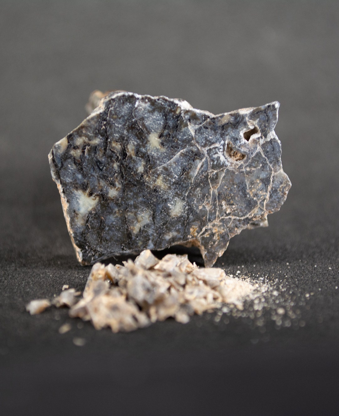 Dinosaur Bone, Ring Making Supplies, Dinosaur Bone Fragments, Jewelry ...