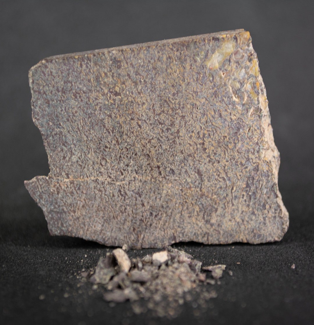 Dinosaur Bone, Ring Making Supplies, Dinosaur Bone Fragments, Jewelry ...