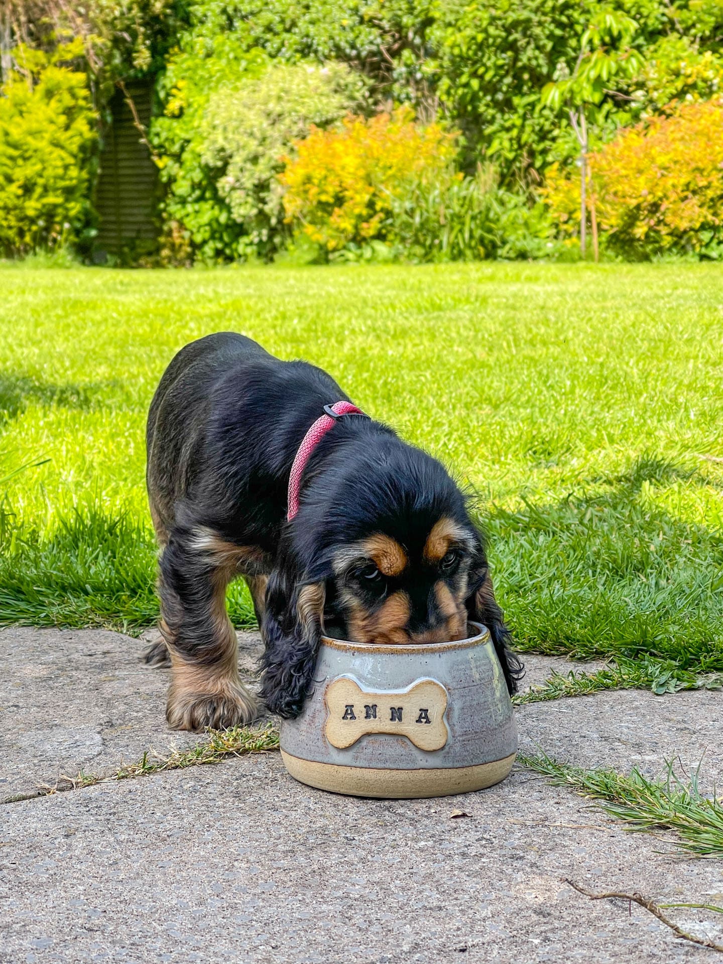Handmade Personalised Spaniel Bowl in Stoneware Made to - Etsy