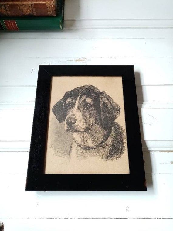 Vintage Dog Etching Beagle Drawing Antique Dog Print | Etsy