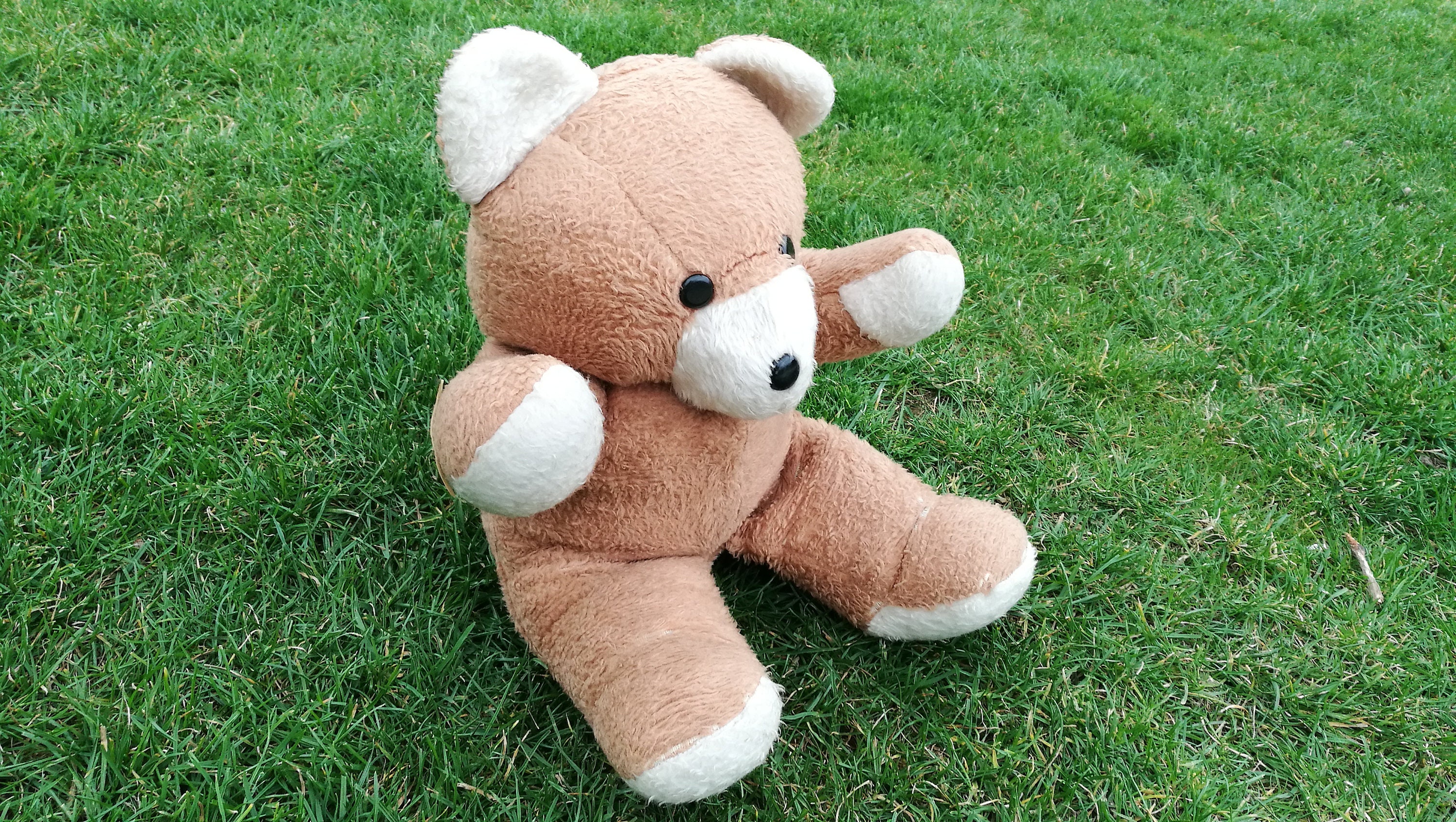 Old Plush Toy / Cute Antique Bear / Vintage Teddy Bear / Soft - Etsy