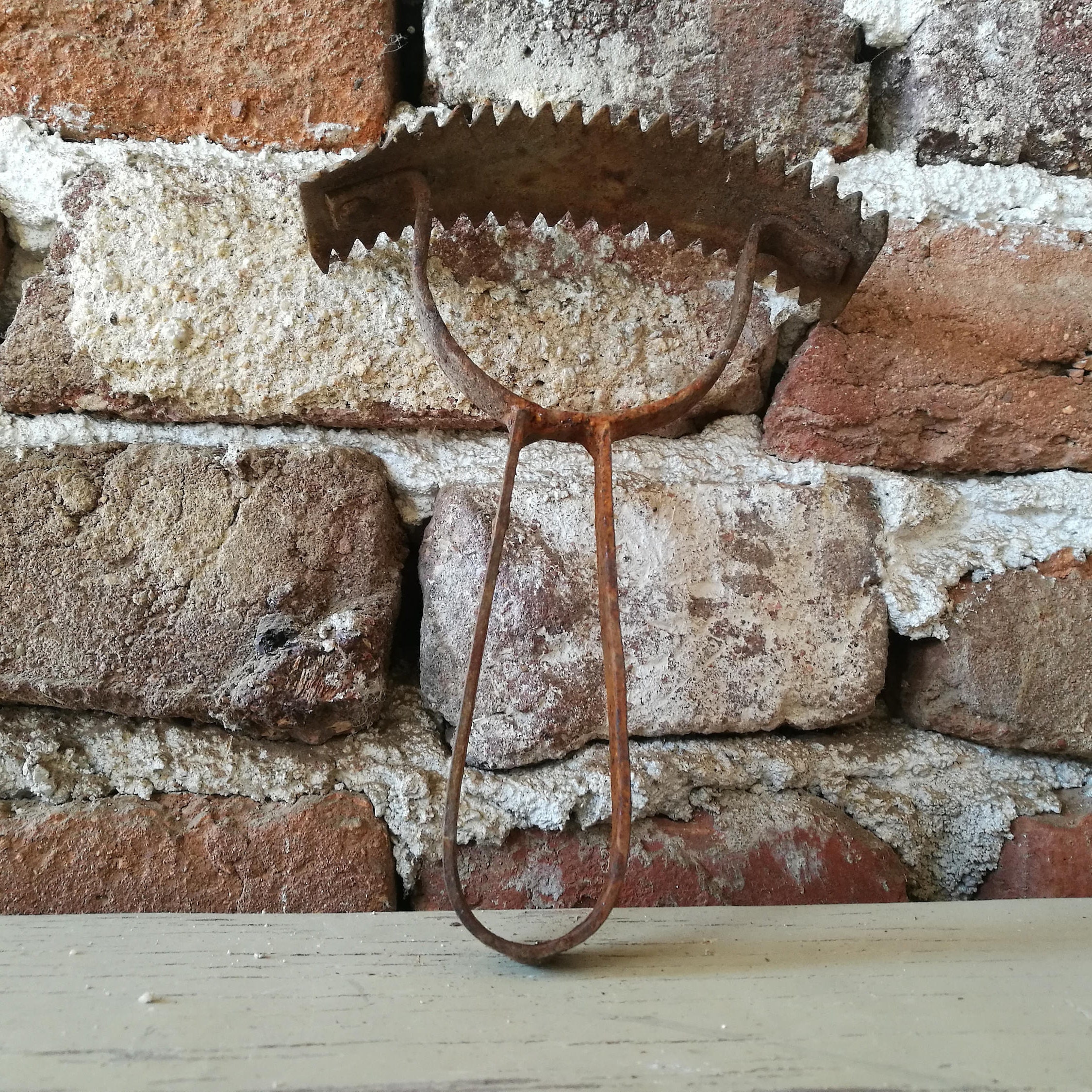 Ox Horn Comb / Viking Comb / Cow Comb / Handmade Comb / Hair - Etsy