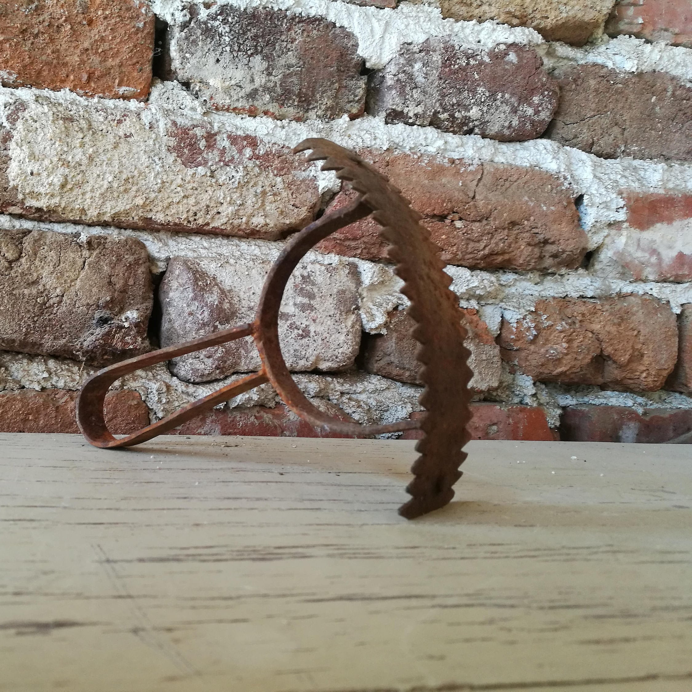 Ox Horn Comb / Viking Comb / Cow Comb / Handmade Comb / Hair - Etsy