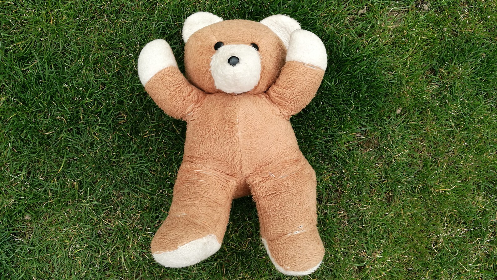 Old Plush Toy / Cute Antique Bear / Vintage Teddy Bear / Soft - Etsy