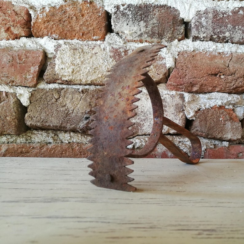 Ox Horn Comb / Viking Comb / Cow Comb / Handmade Comb / Hair - Etsy