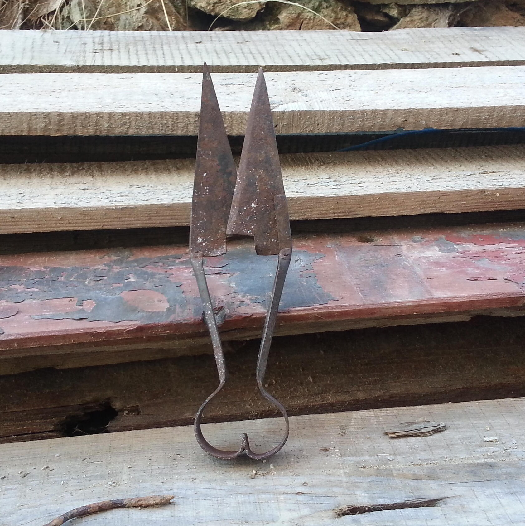 Scissors for Cutting Sheeps / Scissors / Antique Scissors / Vintage ...
