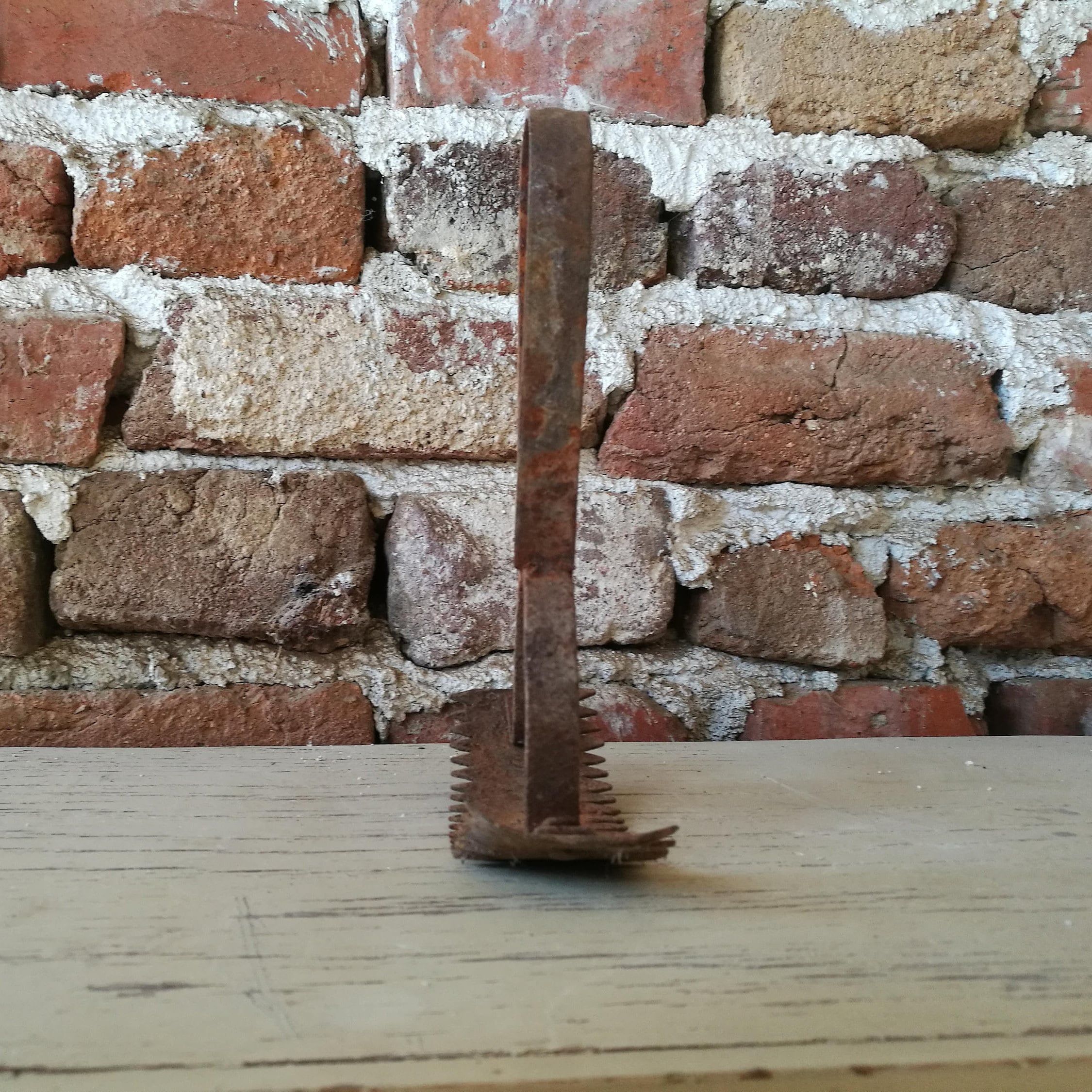 Ox Horn Comb / Viking Comb / Cow Comb / Handmade Comb / Hair - Etsy