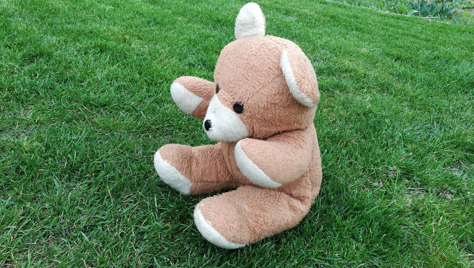 Old Plush Toy / Cute Antique Bear / Vintage Teddy Bear / Soft - Etsy