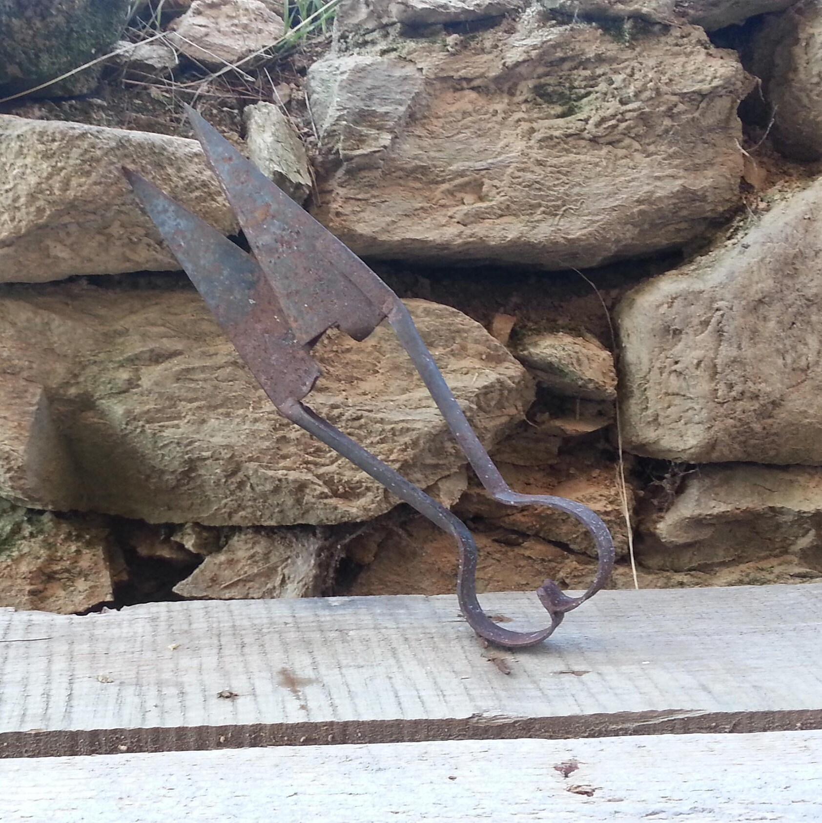 Scissors for Cutting Sheeps / Scissors / Antique Scissors / Vintage ...