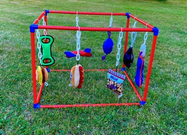 Custom Sports Team Themed Puppy Play Gym Sets - Etsy