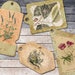 Digital Botanical Tag, Printable Floral, Tag Collage Sheet, Shabby Hang ...