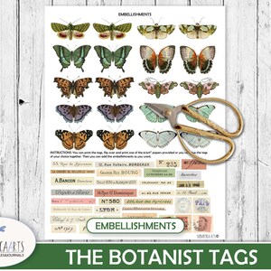 Junk Journal Kit, the Botanist, Botanical Tag, Butterfly Tag, Specimen ...