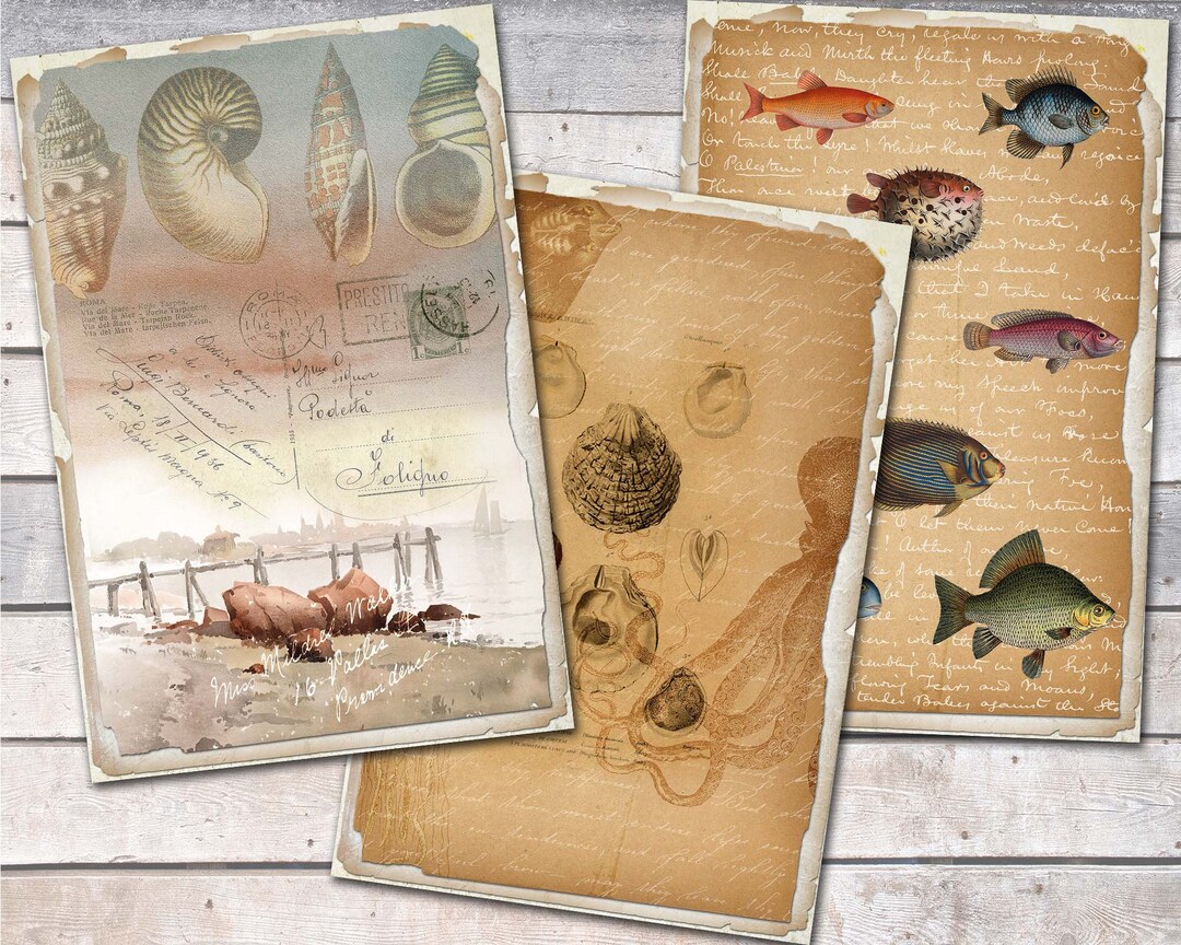 Nautical Ephemera Pages Digital, Vintage Sea Life Paper, Nautical ...