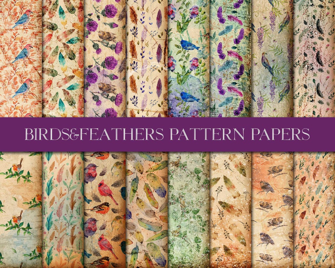 Birds and Feathers Pattern Paper Digital Paper Pack Shabby - Etsy