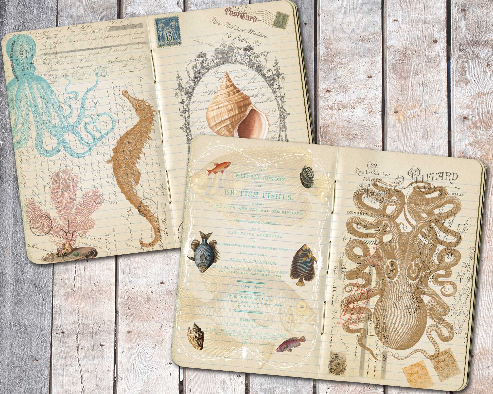 Nautical Ephemera Pages For Journaling Ocean Life Ephemera | Etsy