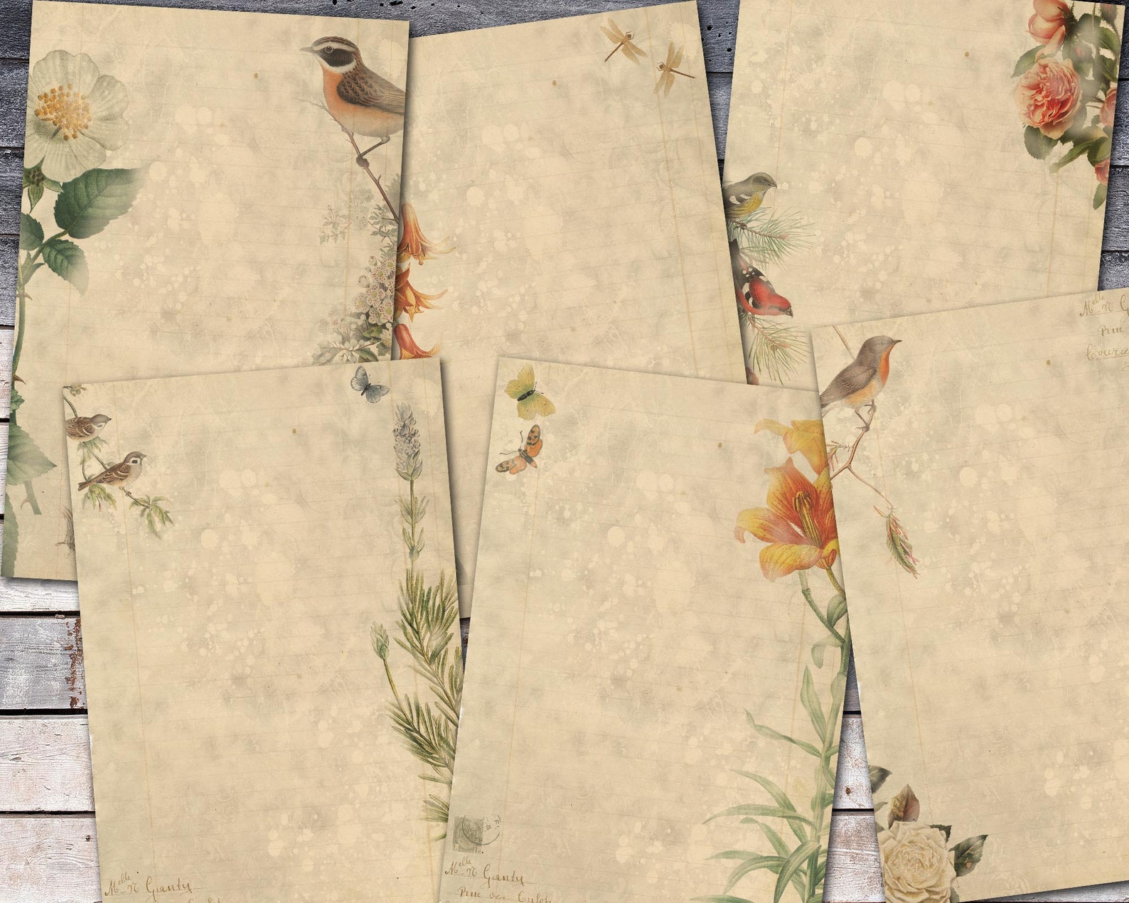 Floral Lined Stationery Paper Botanical Vintage Pages for | Etsy