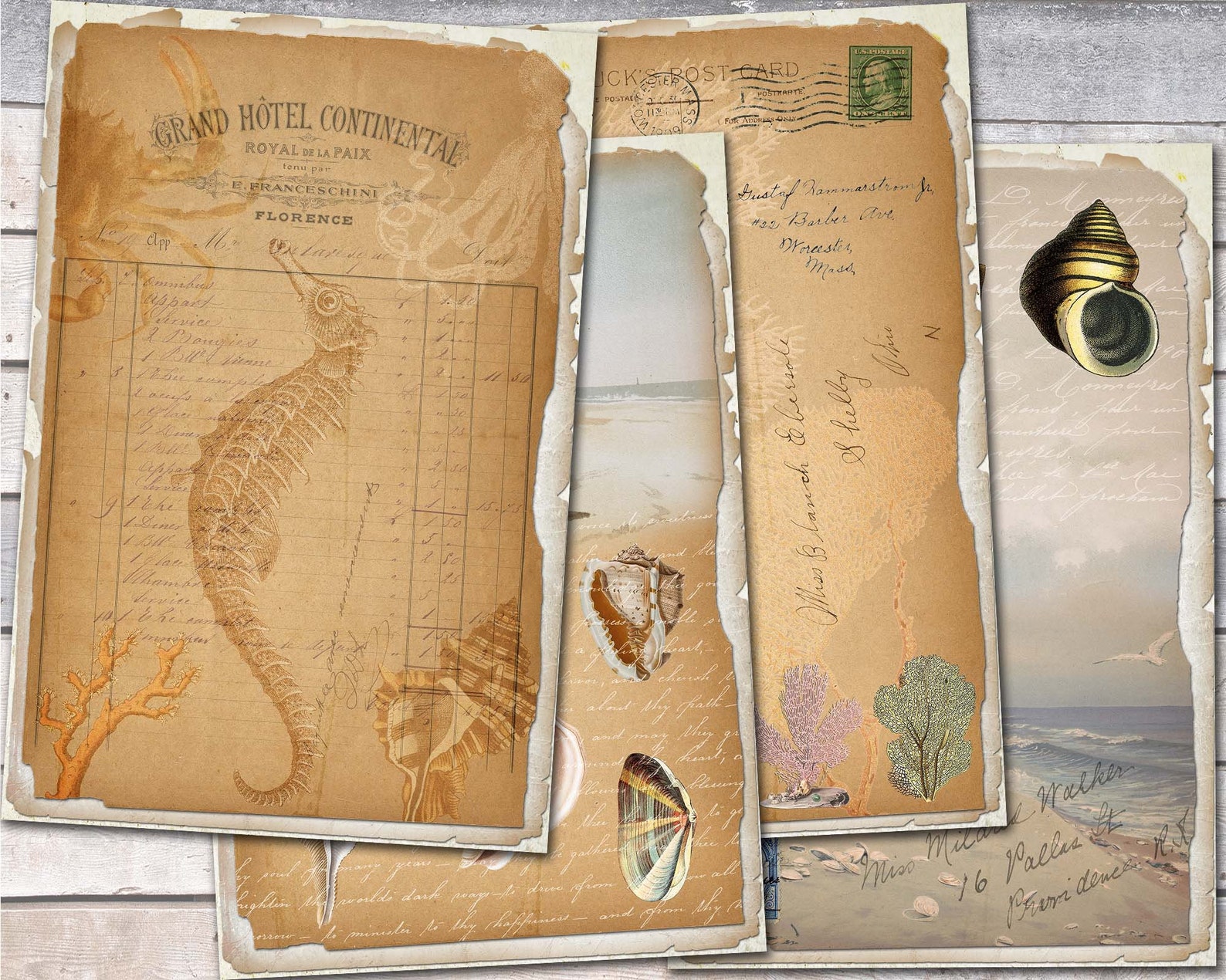 Nautical Ephemera Pages Digital Vintage Sea Life Paper | Etsy