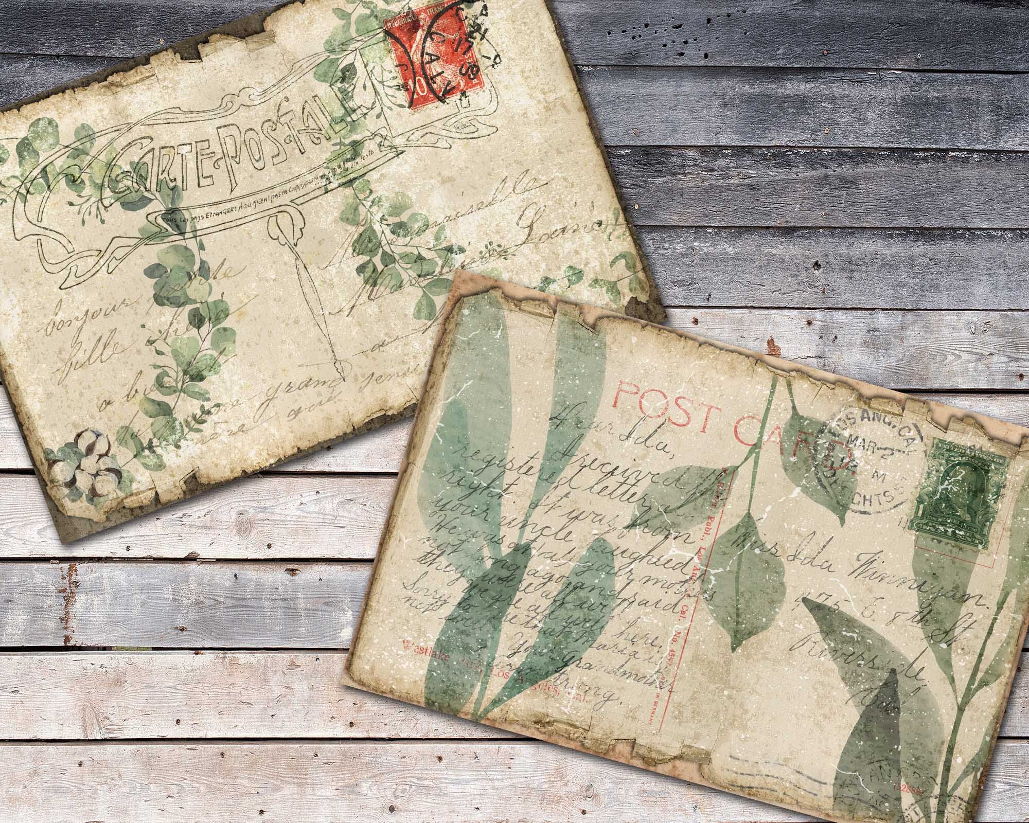 Shabby Green Leaves Postcards Vintage Style Postcards - Etsy