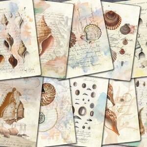 Printable Seashells Paper for Journal, Sea Life Pages for Scrapbooking, Marine Life Collage ...