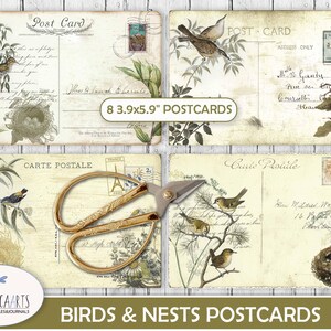 Birds and Nests Postcard, Digital Download, Scrapbook Paper, Vintage ...