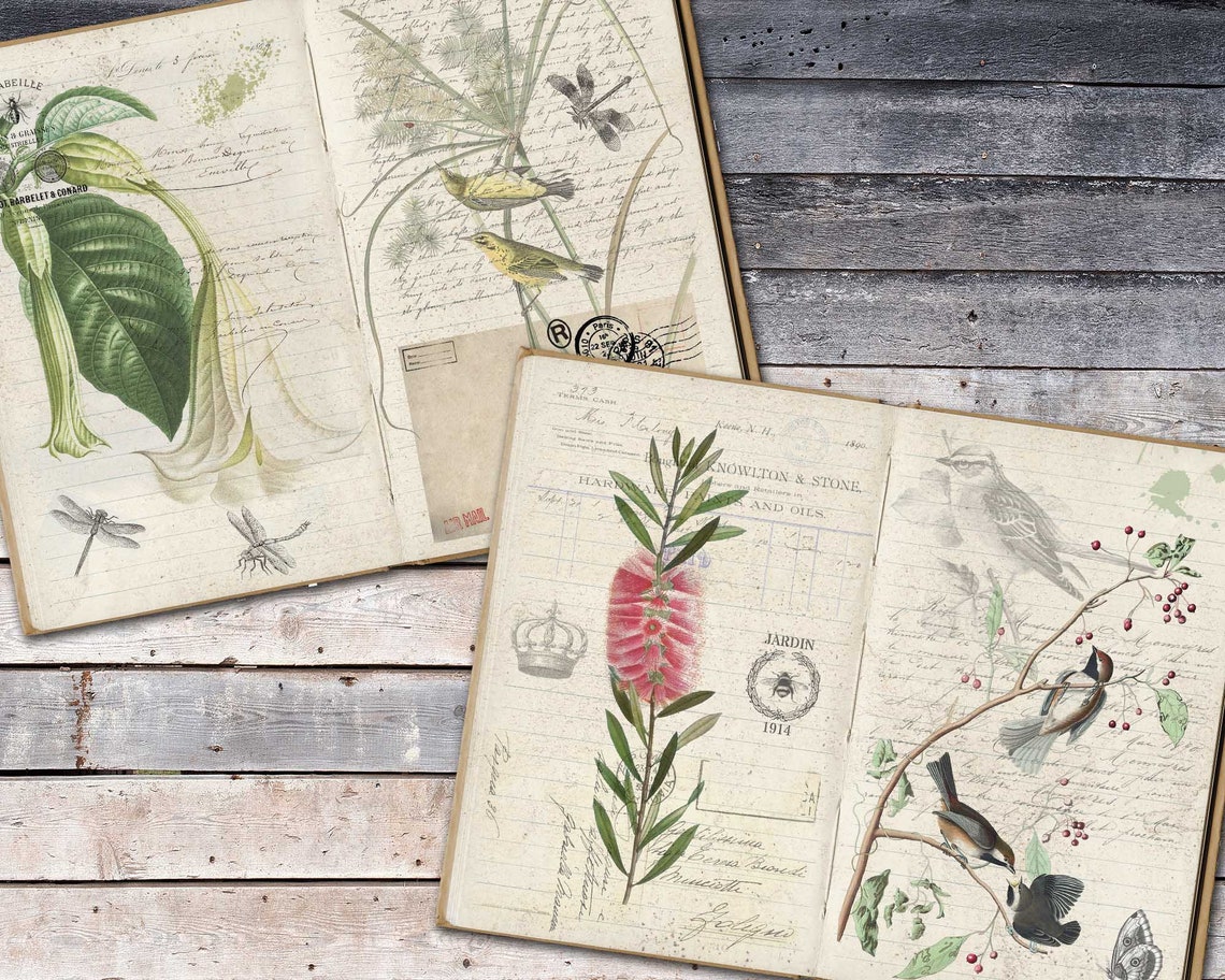 Botanical And Birds Journal Pages Digital Flower And Bird | Etsy