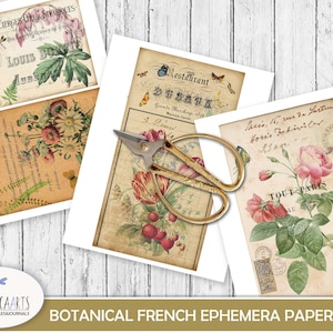 Botanical Ephemera Paper Pack, Printable Scraps, Botanical Bundle ...