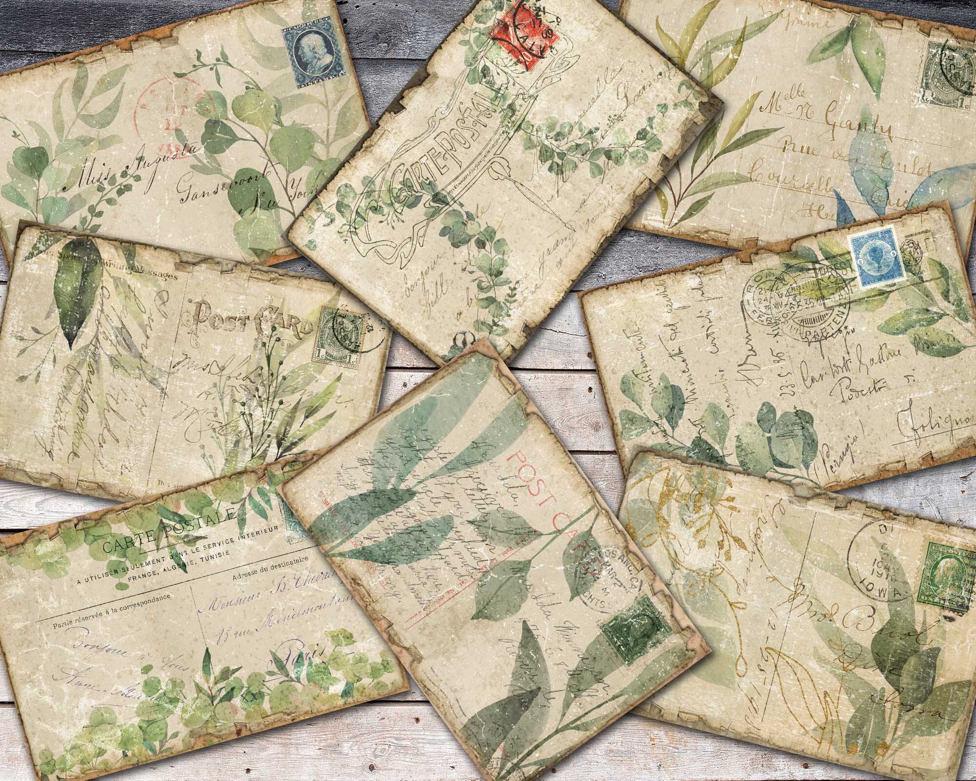 Shabby Green Leaves Postcards Vintage Style Postcards - Etsy