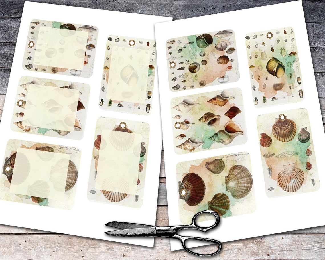 Editable Sea Life Tag Write On Ocean Life Tag Printable | Etsy