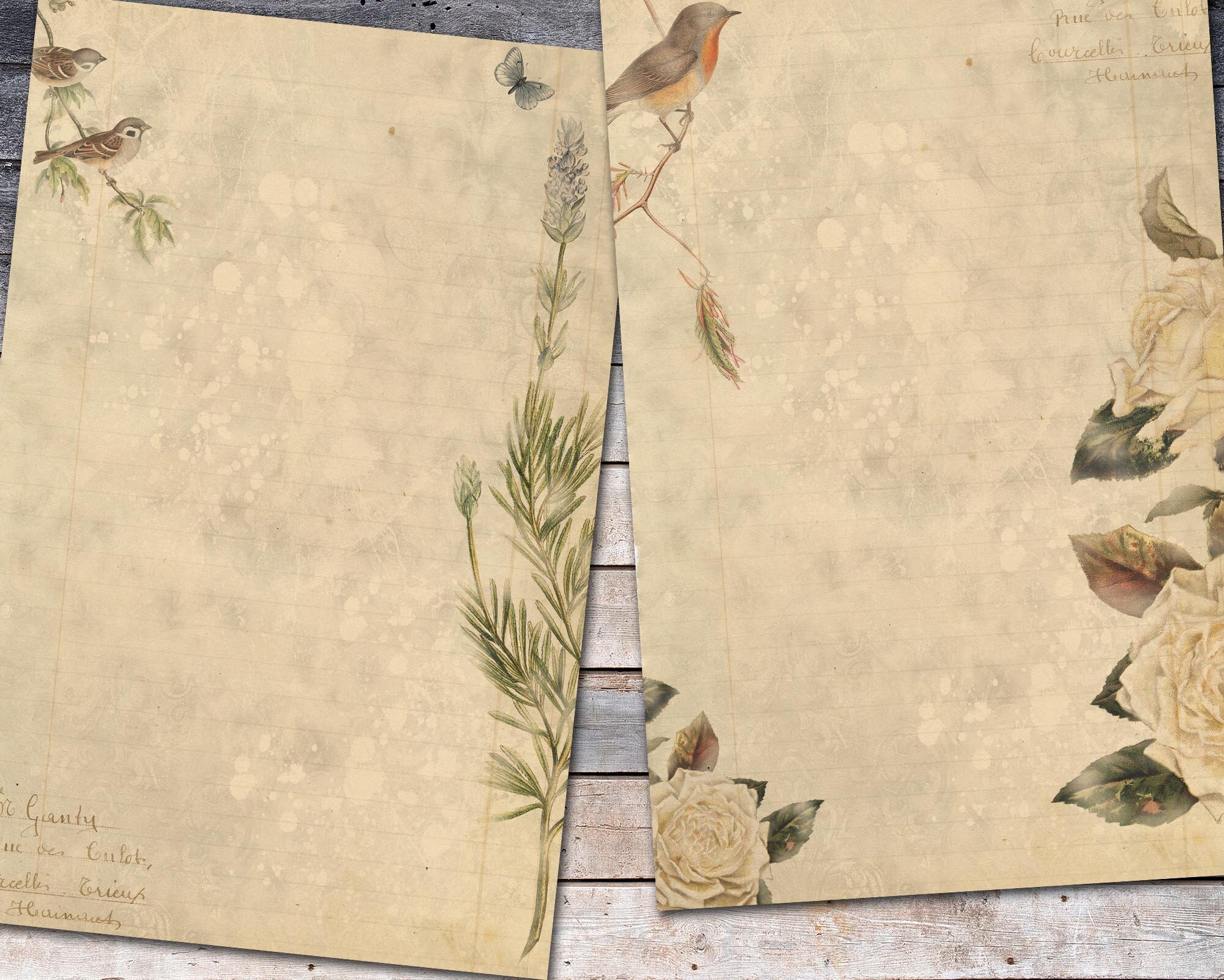 Floral Lined Stationery Paper Botanical Vintage Pages for | Etsy