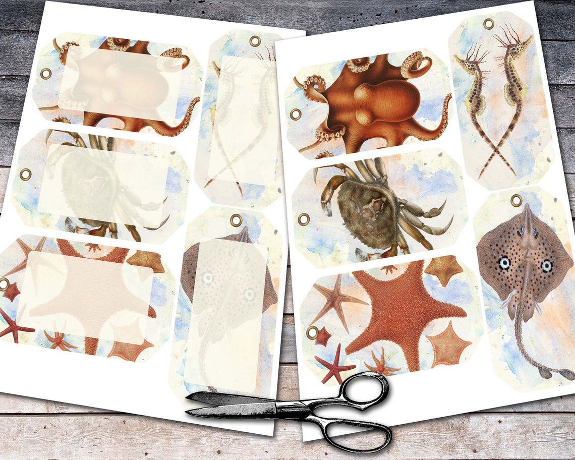 Editable Sea Life Tag Write On Ocean Life Tag Printable | Etsy