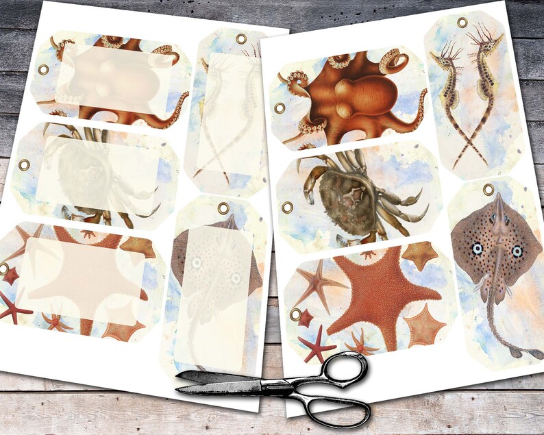 Editable Sea Life Tag Write on Ocean Life Tag Printable - Etsy