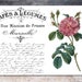 Digital Roses Images for Transfer Printable Floral Images for - Etsy