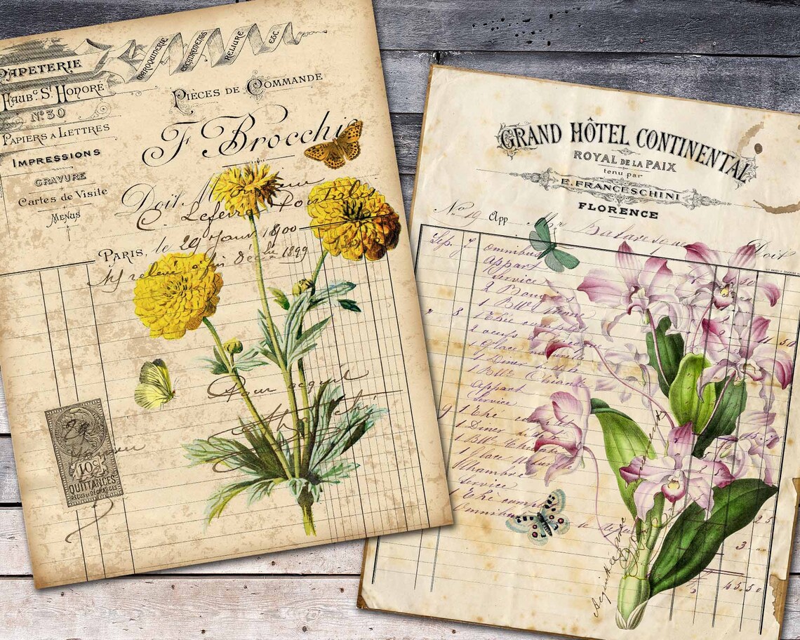 Printable Botanical Ephemera Paper Vintage Ephemera French - Etsy UK