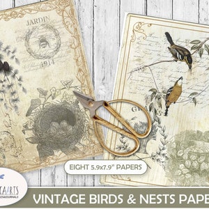 Vintage Birds and Nests Paper, Shabby Bird Paper, Victorian Bird Paper ...
