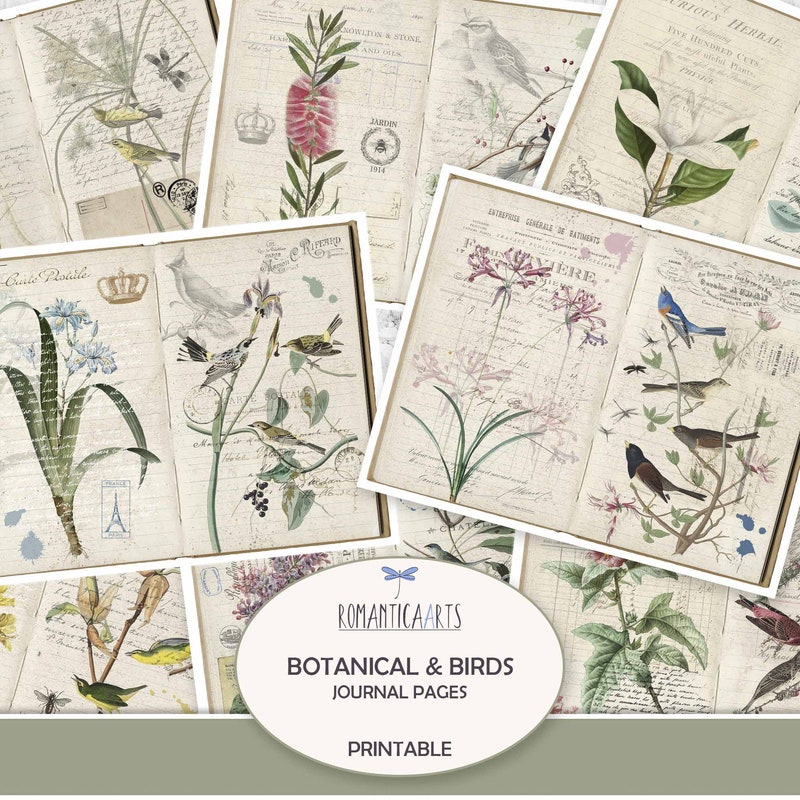 Botanical Bird - Etsy