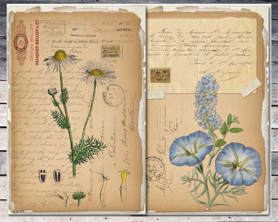 Botanical Journal Papers, Digital Flower, Floral Ephemera, Botanical ...