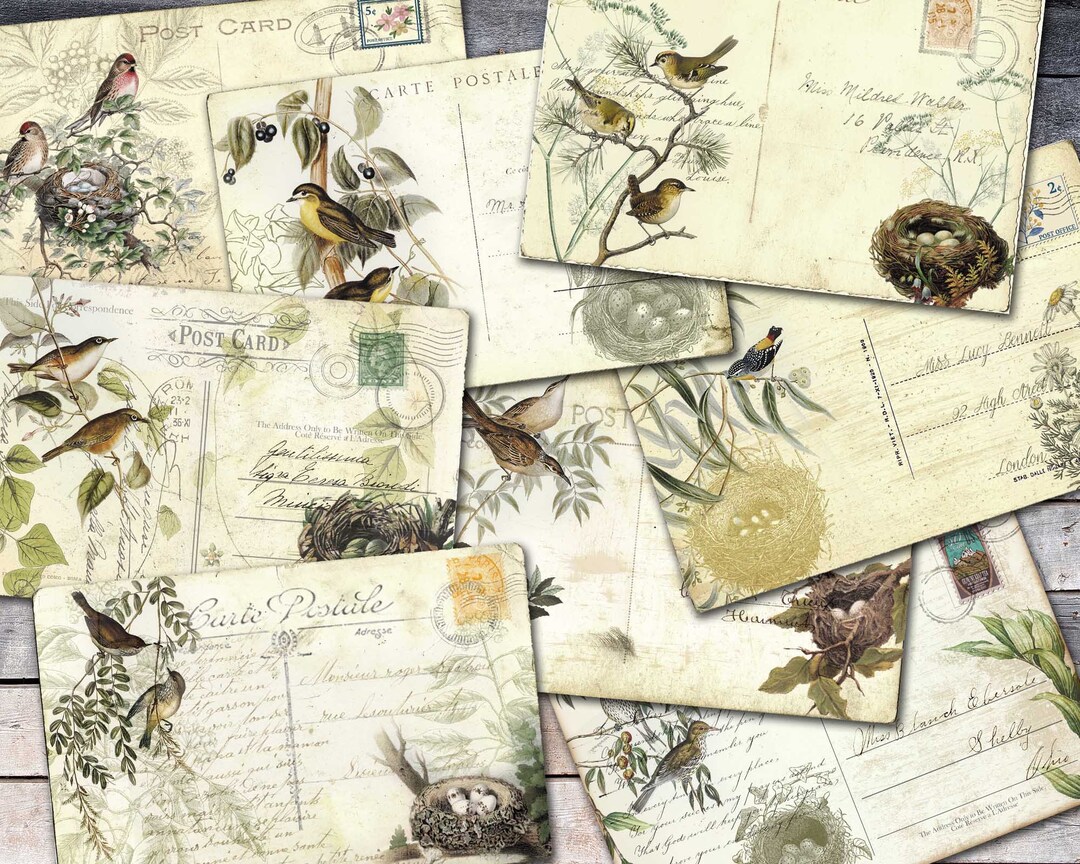 Birds and Nests Postcard, Digital Download, Scrapbook Paper, Vintage ...