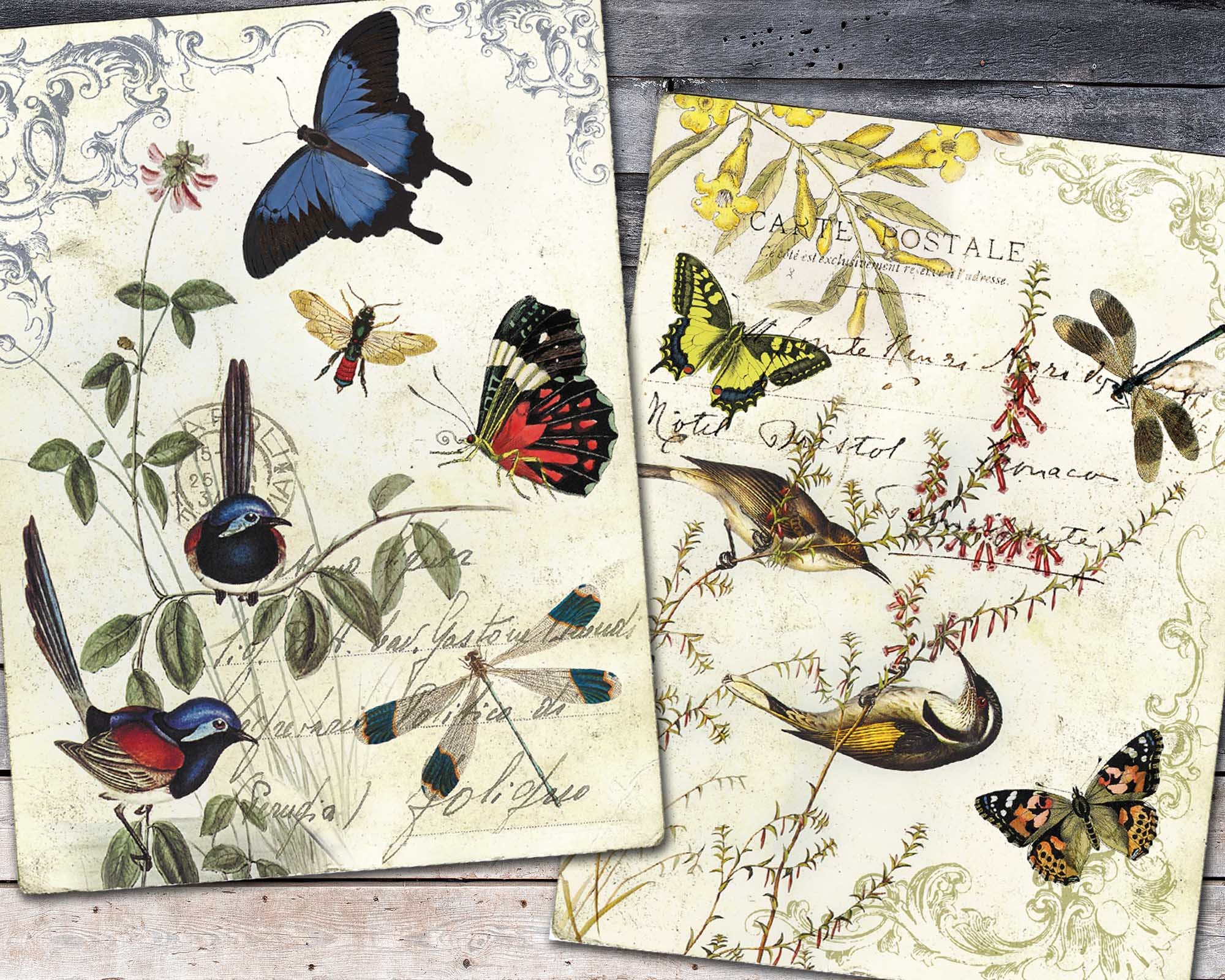 Printable Birds and Bugs Paper Bird Journal Bird Pages - Etsy