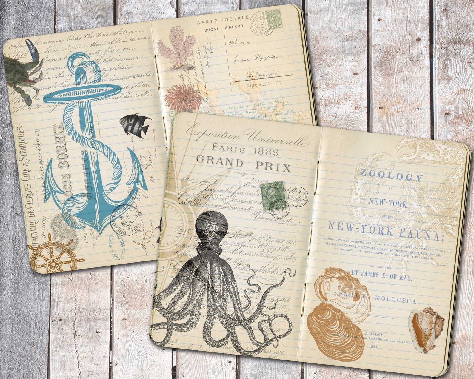 Nautical Ephemera Pages For Journaling Ocean Life Ephemera | Etsy