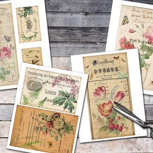 Botanical Ephemera Paper Pack, Printable Scraps, Botanical Bundle ...