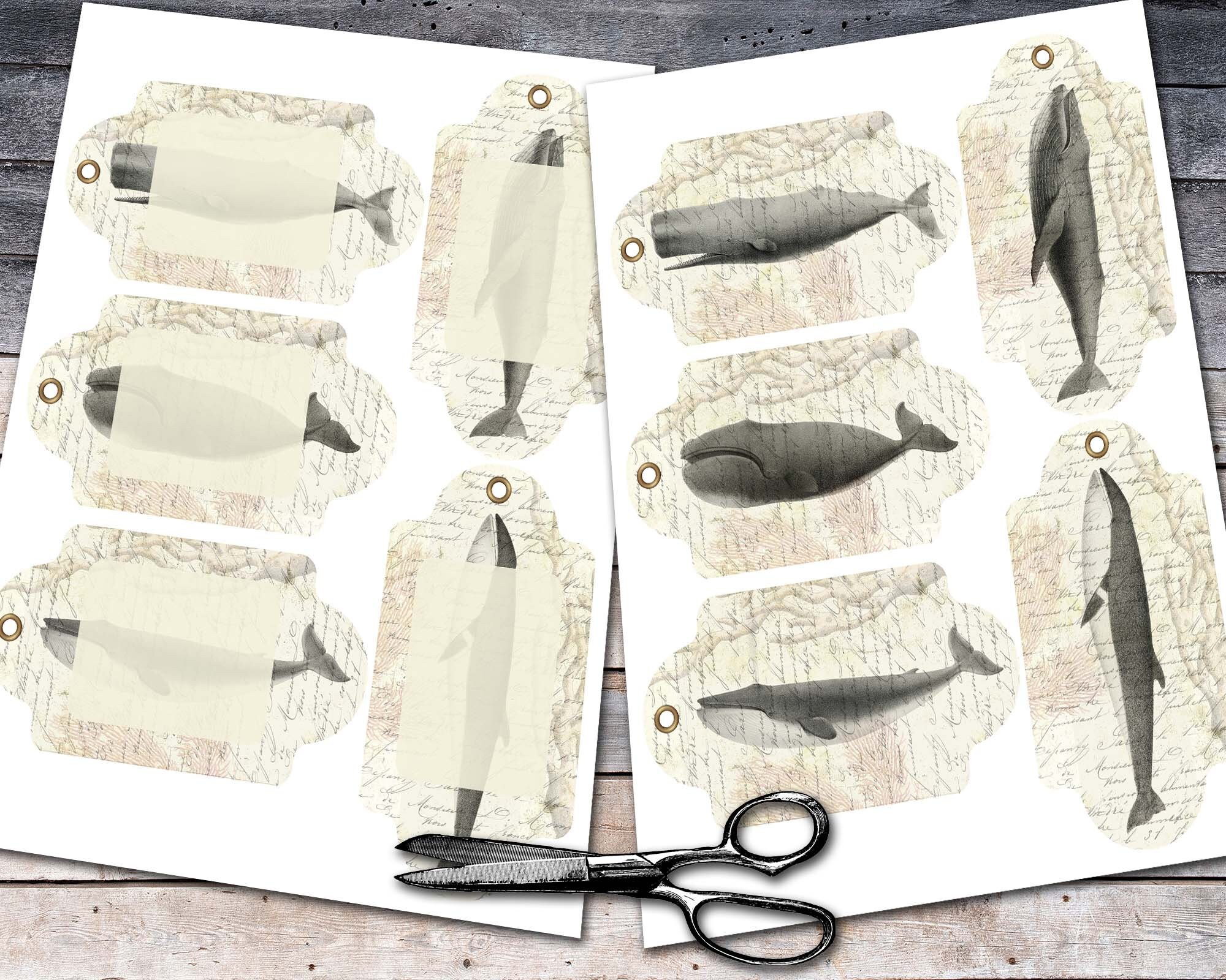 Editable Sea Life Tag Write On Ocean Life Tag Printable | Etsy