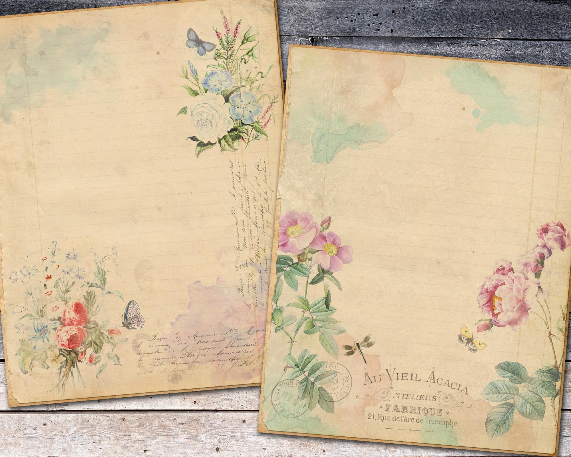 Shabby Rose Lined Paper Digital Stationery Rose Writing - Etsy Canada