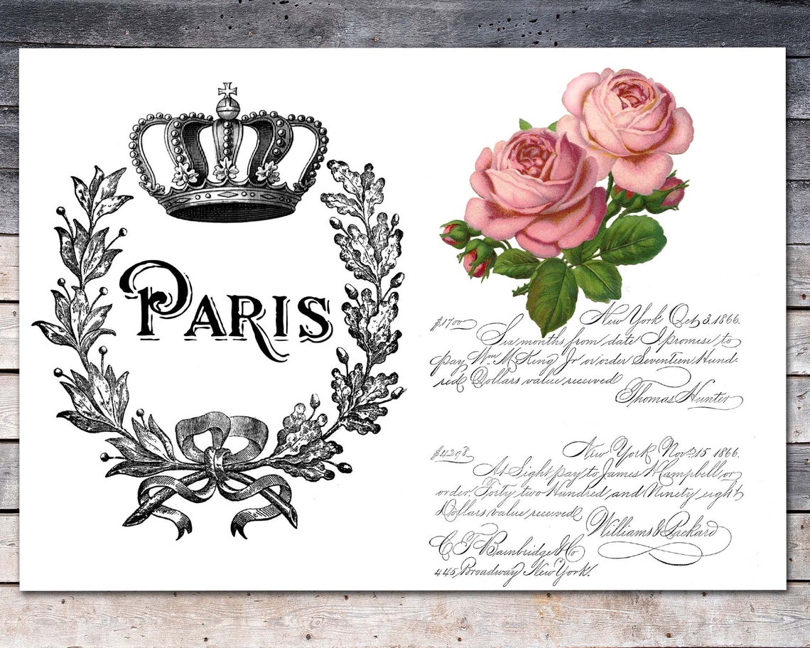 Digital Roses Images for Transfer Printable Floral Images for - Etsy