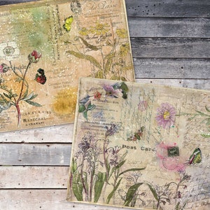 Floral Masterboard Paper, Botanical Digital, Floral Digital, Garden ...