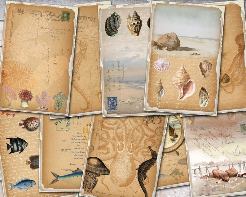 Nautical Ephemera Pages Digital Vintage Sea Life Paper - Etsy