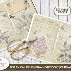 Botanical Notebook Pages, Floral Papers, Vintage Floral Page, Neutral ...