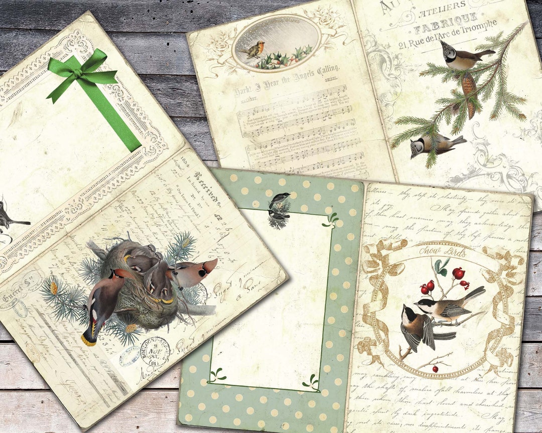 Winter Bird Journal Pages, Vintage Bird, Shabby Bird Paper, Christmas ...